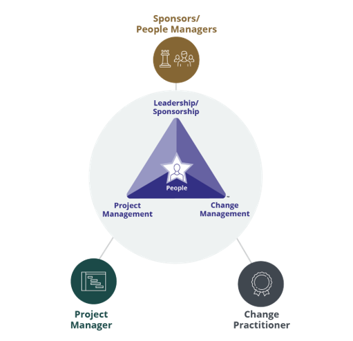 Core Roles in Change Management
