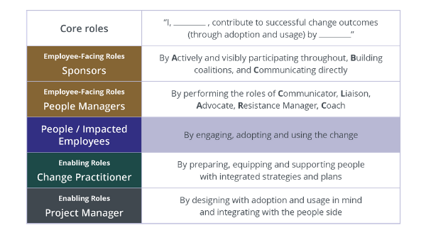Primary Sponsor's Role and Importance