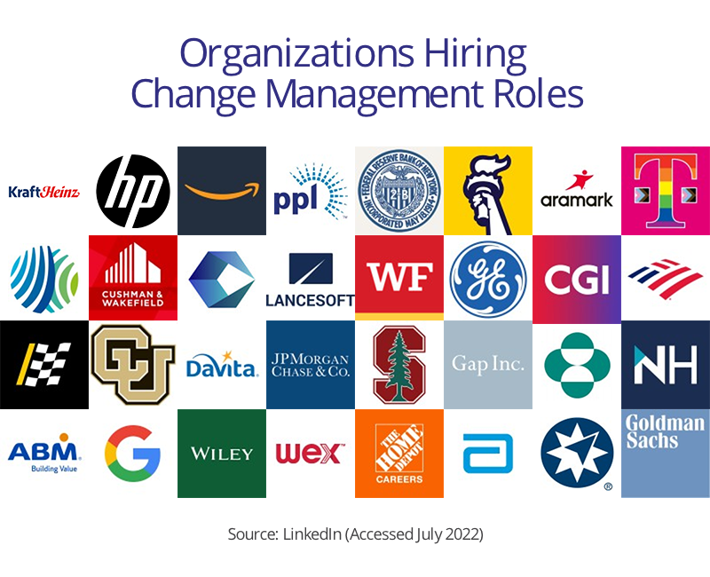 The Role of the Change Manager