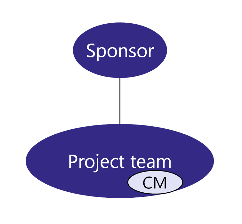 How Internal Consultants Support Change Management