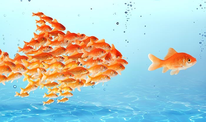 How Microsoft Uses the ADKAR Model to Improve Customer Success