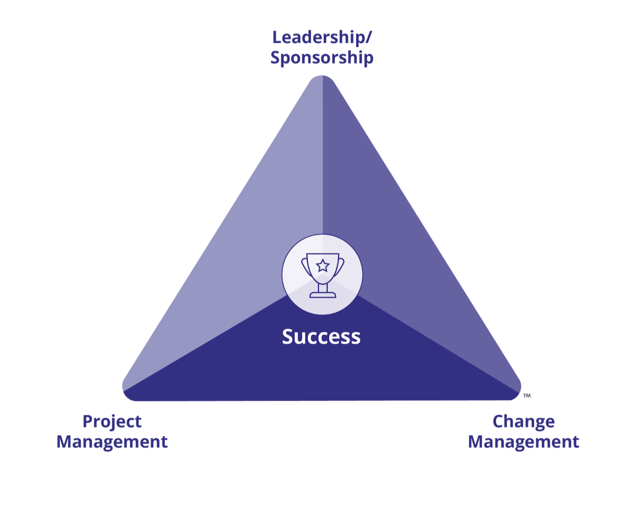 Mastering Organizational Change: Turn Big Challenges Into Successes