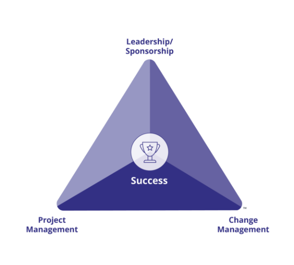 How to Talk to Executives and Sponsors About Change Management