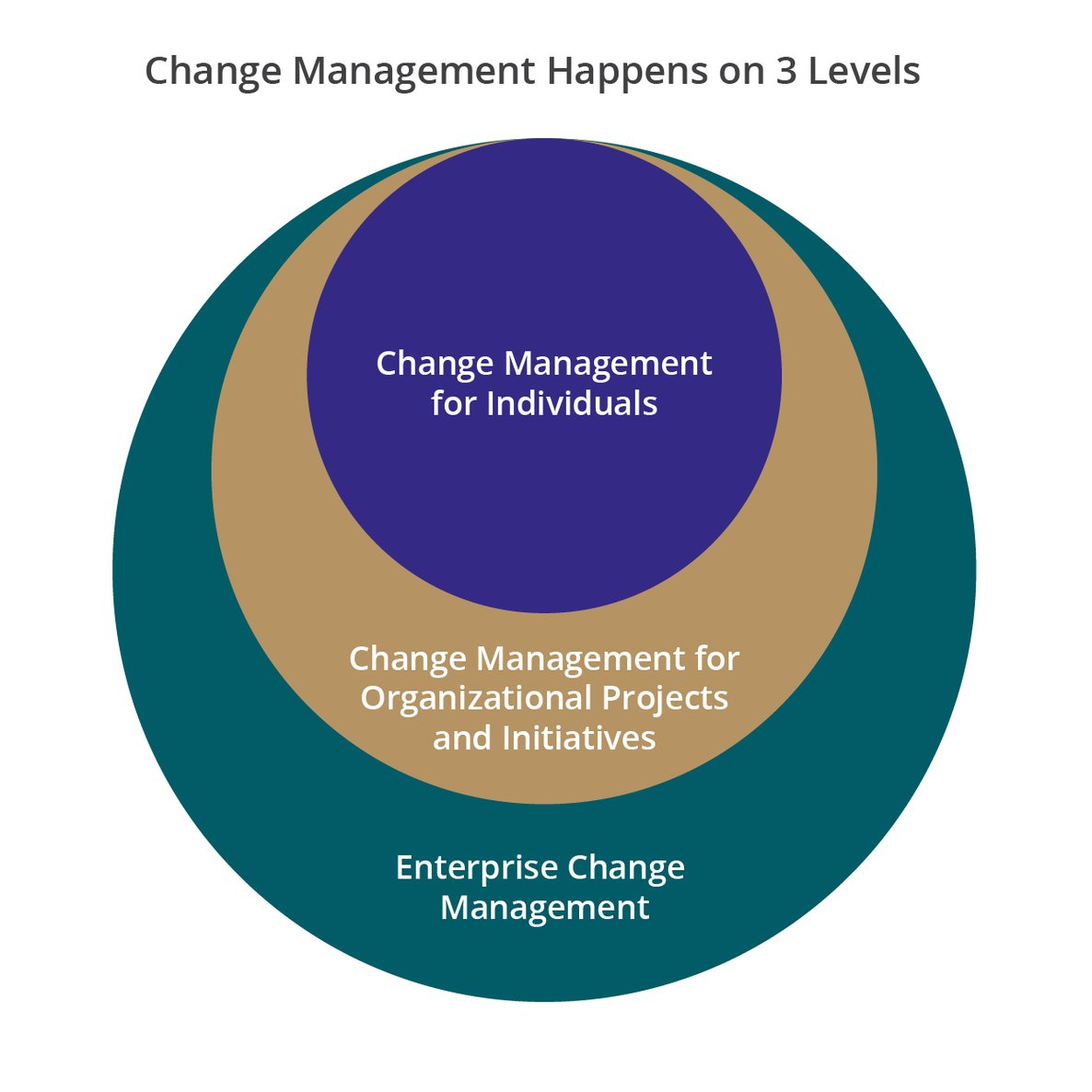 Your Complete Guide to Enterprise Change Management