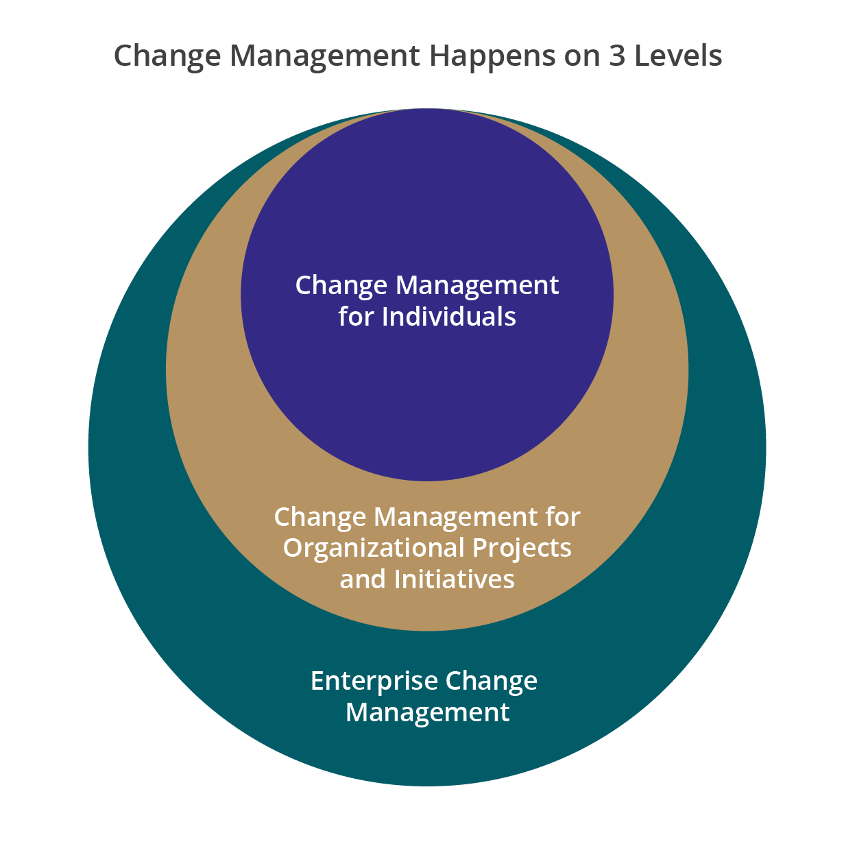 Your Complete Guide to Enterprise Change Management