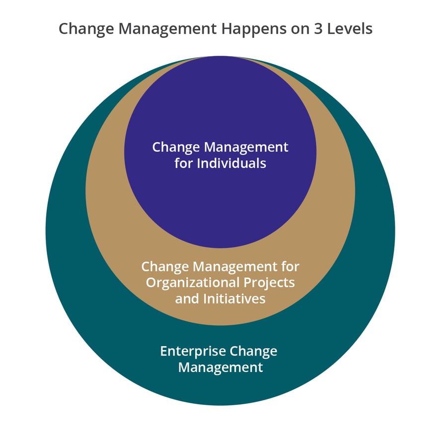 Your Complete Guide to Enterprise Change Management