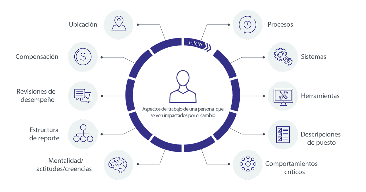 ¿Cómo implementar la sostenibilidad empresarial?